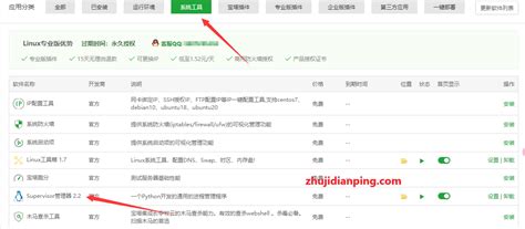 宝塔supervisor教程：进程守护与 nginx 监控教程 主机点评