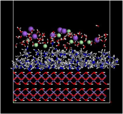 Optimized Geometry Obtained After Initial Mm Energy Minimization Download Scientific Diagram