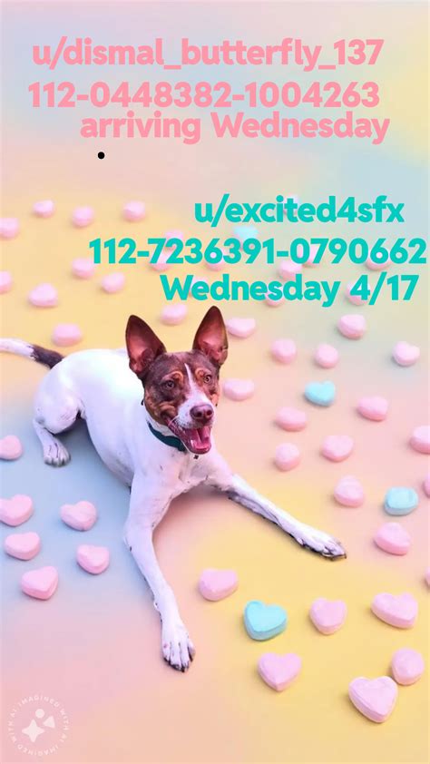 Gifted Winners Of Flash Contest R Random Acts Of Amazon