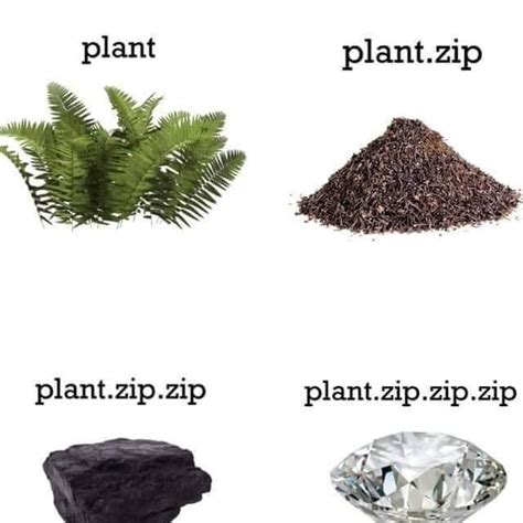 Joomla Unsupported Php Version Joomla Plants Php
