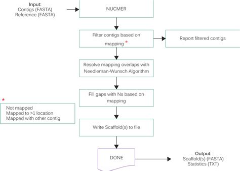 Flow Diagram Of The Scaffold Builder Script Download Scientific Diagram