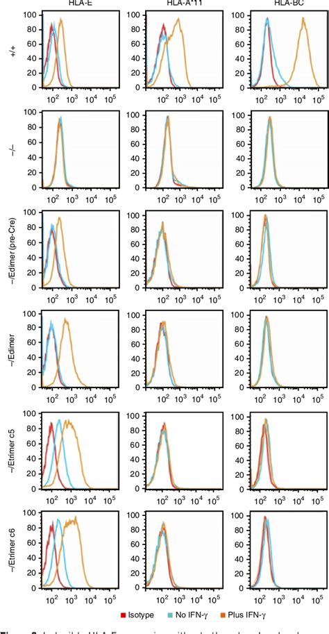 Table 1 From Hla E Expressing Pluripotent Stem Cells Escape Allogeneic