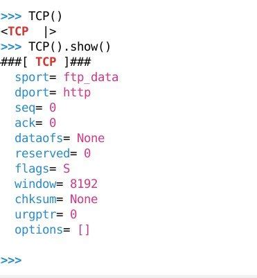 Packet Crafting Using Powerful Tool Scapy SecOrigin Technologies