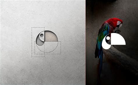 布尔运算 小七爱春风 站酷zcool