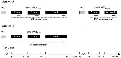 constant load exercise procedure five min warm up wu and