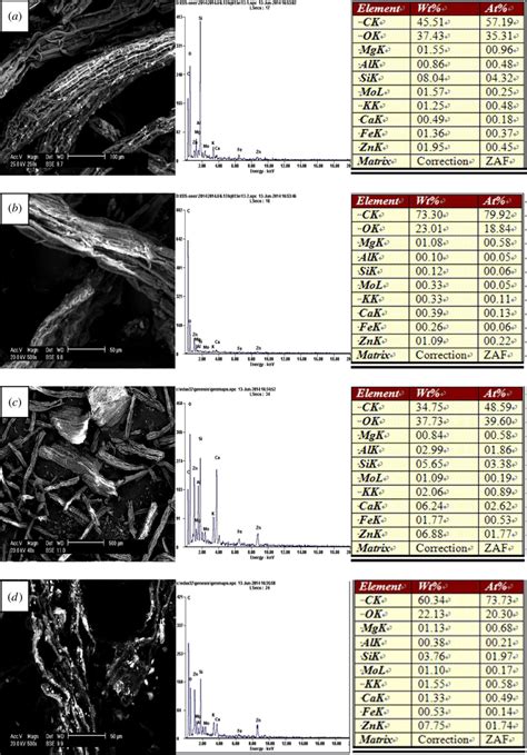 Scanning Electron Micrographs And Energy Spectrum Analysis Of The