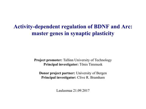 Ppt Activity Dependent Regulation Of Bdnf And Arc Master Genes In