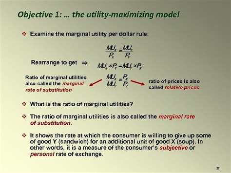 Module The Utility Maximizing Model Objectives