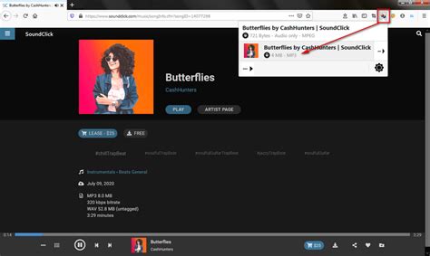 How To Increase Soundclick Plays Plantforce21