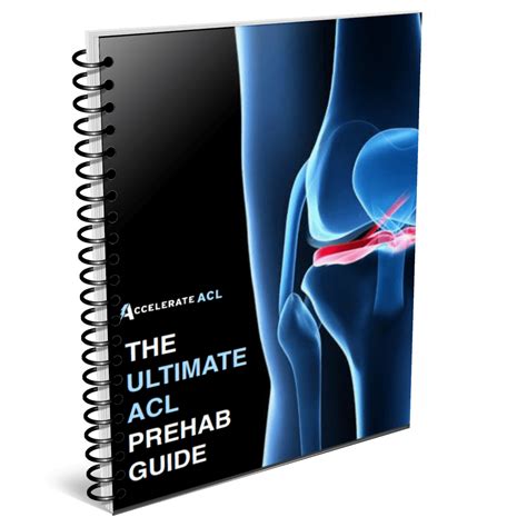 8 Exercises In The Accelerate Acl Prehab Protocol Accelerate Acl