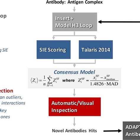 Antibodyantigen Binding Affinity Scoring Protocol The Antibodies With Download Scientific