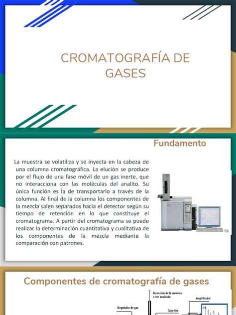 Fundamentos Y Aplicaciones De La Cromatografía De Gases Pdf