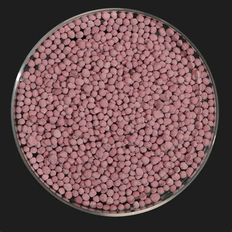 Phosphate Solubilizing Bacteria At Best Price In India