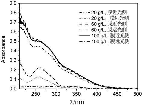 Ethylene Ethenol Copolymer Intelligent Film With Janus Structure