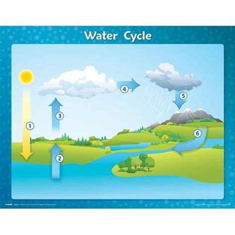 Science And Health 3 Teaching Charts