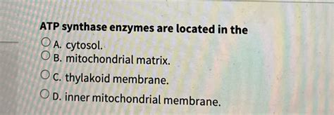 Solved Atp Synthase Enzymes Are Located In Thea ﻿cytosol B
