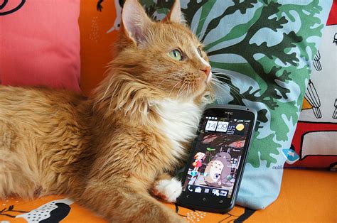 Mobile-review.com Обзор смартфона HTC One S