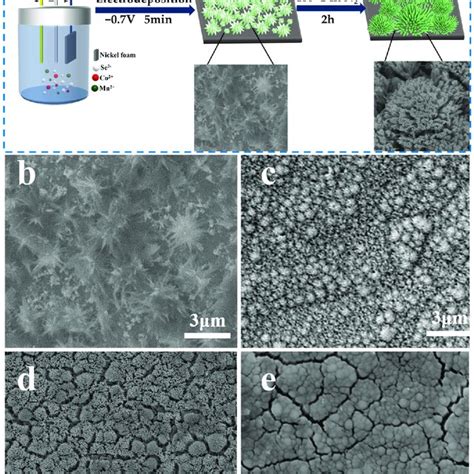 A Schematic Diagram Of The Manganese Cobalt Bimetallic Selenide