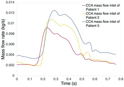inlet boundary conditions used for three patients download