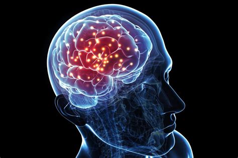 26 Facts About Brain Function Ohmyfacts