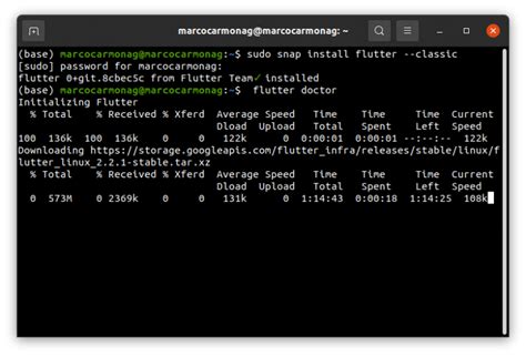 How To Install And Setup Flutter Development On Ubuntu And Other Linux