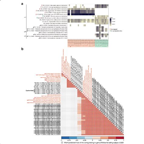 Marker Genes Identification And Correlation Analysis A Heatmap Of
