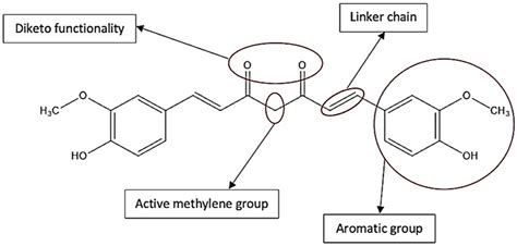 A Review Of Recent Curcumin Analogues And Their Antioxidant Anti