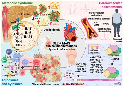 Systemic Inflammation Is The Cornerstone Where Both Pathologies