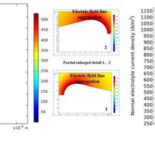 Simulation Analysis Of Electric Field Aggregation In Electrochemical