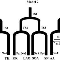 Schematic Presentation Of The Three Models Described By Language Model Download Scientific