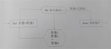Shell编程之循环语句 Csdn博客