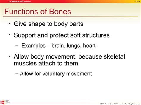 Skeletal System Ppt Skeletal System In Our Body PPT