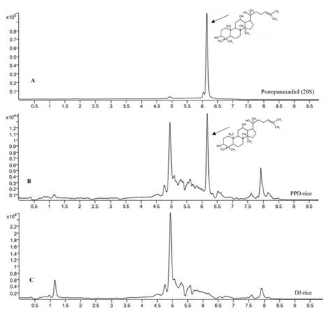 Liquid Chromatography Tandem Mass Spectrometry Chromatogram Of The Download Scientific Diagram