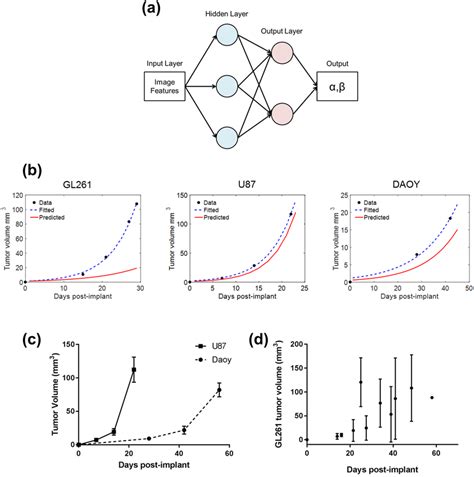 Prediction Of Tumor Growth Curve A Two Layer Feedforward Network