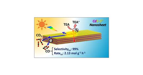 Efficient Selective Co2 Photoreduction Enabled By Facet Resolved Redox Active Sites On