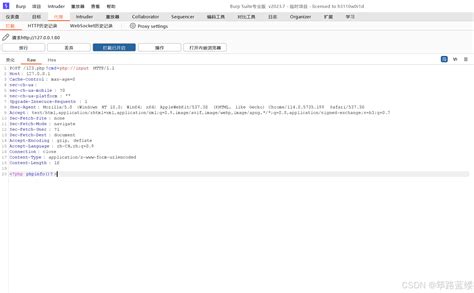 文件包含php伪协议利用方法小皮怎么配置php伪协议访问权限 Csdn博客