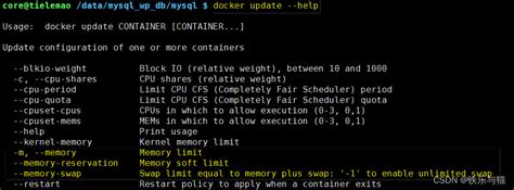 docker指定容器使用内存 docker 容器内存 csdn博客