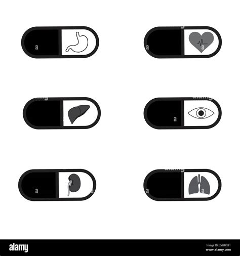 Six Organs Stock Vector Images Alamy