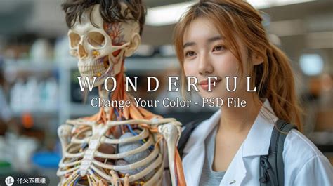 Skeletal Analysis Psd High Quality Free Psd Templates For Download