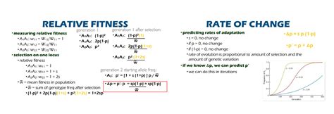 Solved What Does P And S Represent In This Formula And Why