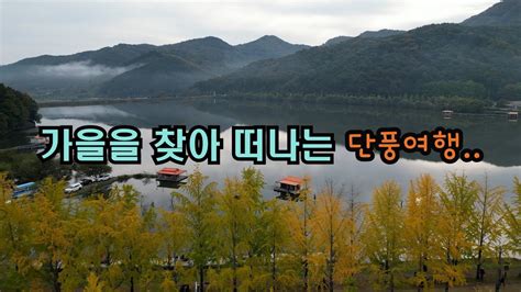 단풍을 찾아 떠나는 가을여행할리데이비슨 바이크 바이크여행 여행 바이크 여행코스 Youtube