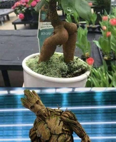 Dat Butt Tho R Funny