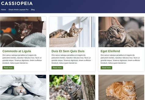 How To Use The Blocks Layout In Shack Article Layouts Joomlashack