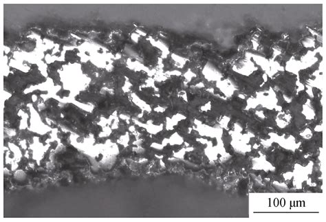 Optical Image Of A Sphere Shell Download Scientific Diagram