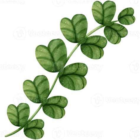 Leaves Various Types Of Leaves PNG Leaves Various Types Of Leaves PNG