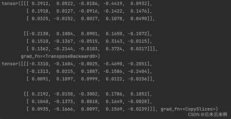 Pytorch学习笔记lstm和lstmp的原理及其手写复现 Csdn博客