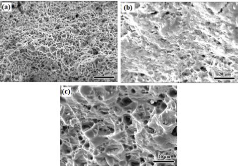 sem fractrographs of a non reinforced processed b reinforced