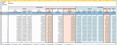 Tunnels In Markov Excel Models