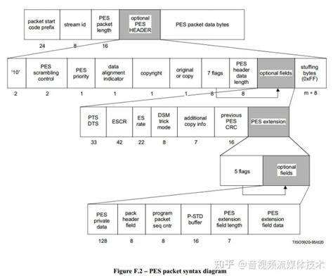【科普】ts文件格式：什么是ts？如何打开，编辑和转换它？ Csdn博客