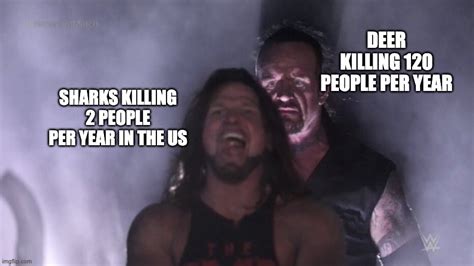 50 Of Today's Funniest New Memes From Across The Internet